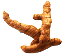 Ingredients explanation