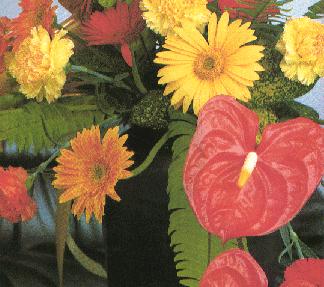 Indonesian Dictionary