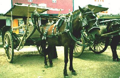 Indonesian Dictionary